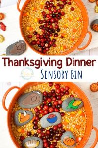 22 Thanksgiving Sensory Bin Ideas and Activities - Cool Kids Crafts