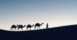 15 Cool Camel Crafts For Toddlers and Preschoolers - Cool Kids Crafts