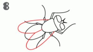 21 Fascinating Fly Drawings For Kids - Cool Kids Crafts