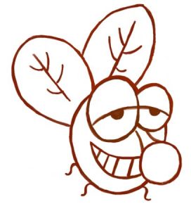 21 Fascinating Fly Drawings For Kids - Cool Kids Crafts