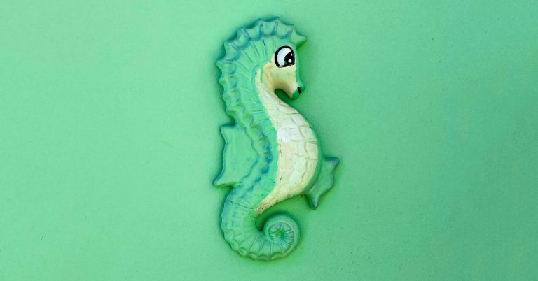 20 Creative Seahorse Drawing for All Ages - Cool Kids Crafts