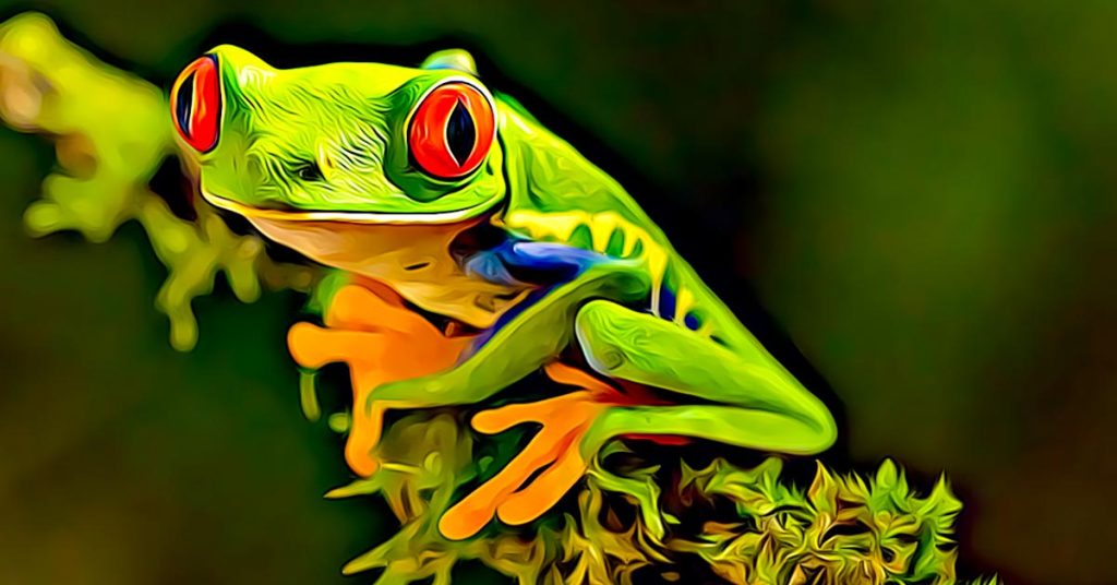 27 Frog Perler Beads That Will Make You Hoppy - Cool Kids Crafts