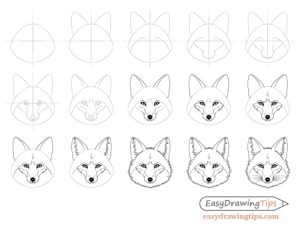 23 Easy Fox Drawings Anyone Can Do - Cool Kids Crafts