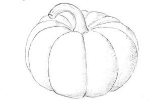 22 Easy Thanksgiving Drawings to Follow - Cool Kids Crafts