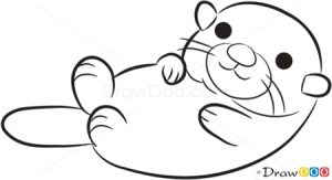 20 Otterly Cute and Easy Otter Drawings - Cool Kids Crafts