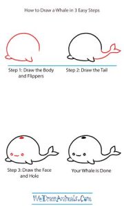 20 Whale Drawings for Sea Lovers - Cool Kids Crafts