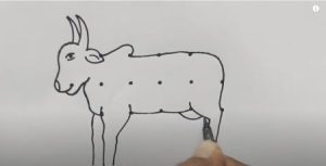 18 Easy Drawings of Cows for Beginners - Cool Kids Crafts