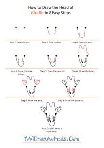 21 Easy Drawings of Giraffes for Kids - Cool Kids Crafts