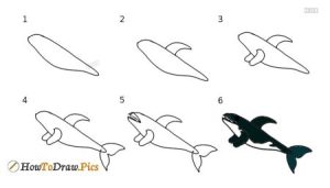 20 Whale Drawings for Sea Lovers - Cool Kids Crafts