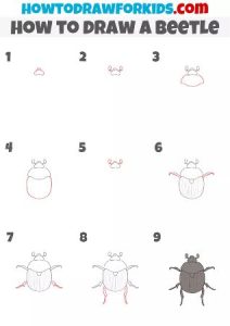 18 Amazing Bug Drawings for a Great Adventure - Cool Kids Crafts