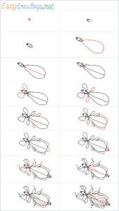 18 Amazing Bug Drawings for a Great Adventure - Cool Kids Crafts