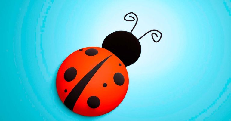 18 Amazing Bug Drawings for a Great Adventure - Cool Kids Crafts