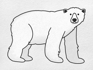 20 Easy Bear Drawings You Can Follow - Cool Kids Crafts