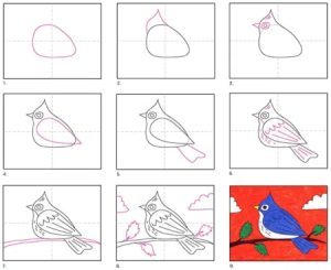 21 Lovely Bird Drawings for Kids and Adults Alike - Cool Kids Crafts