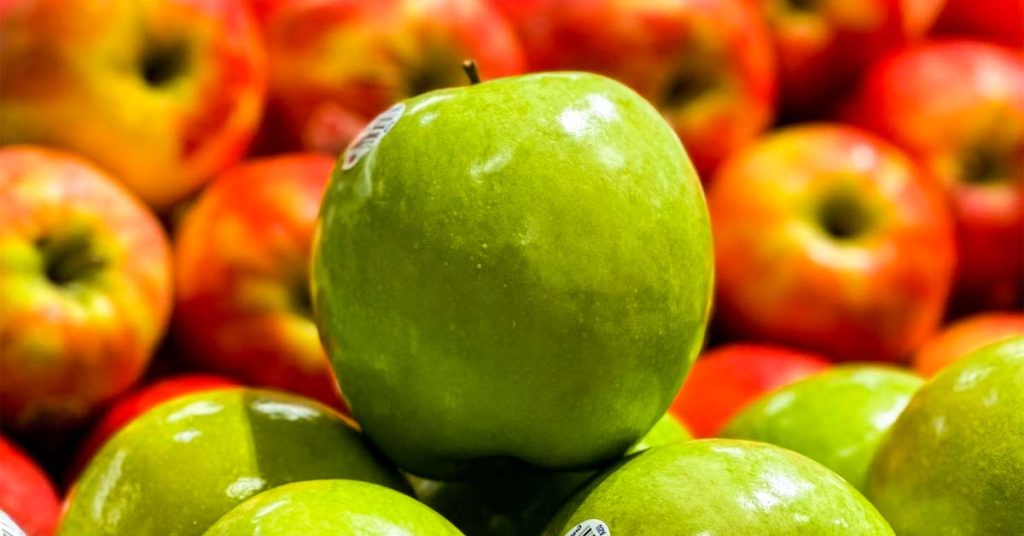 19 Crisp and Yummy Apple Drawings - Cool Kids Crafts