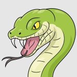 18 Easy and Striking Drawings of Snakes - Cool Kids Crafts