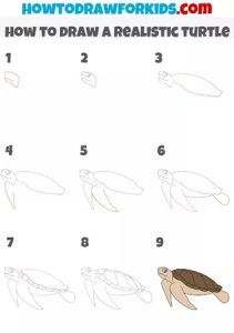 17 Serene Sea Turtle Drawings - Cool Kids Crafts