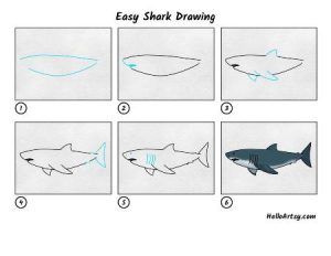 21 Easy Drawings of Sharks for Young Artists - Cool Kids Crafts