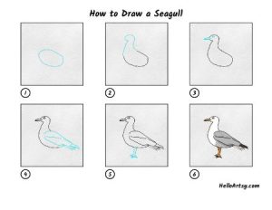 23 Fascinating Seagull Drawings for Your Little Explorer - Cool Kids Crafts