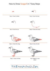 23 Fascinating Seagull Drawings for Your Little Explorer - Cool Kids Crafts