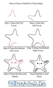 23 Sensational Starfish Drawings - Cool Kids Crafts