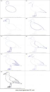 23 Fascinating Seagull Drawings for Your Little Explorer - Cool Kids Crafts