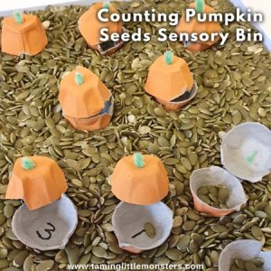 22 Thanksgiving Sensory Bin Ideas and Activities - Cool Kids Crafts